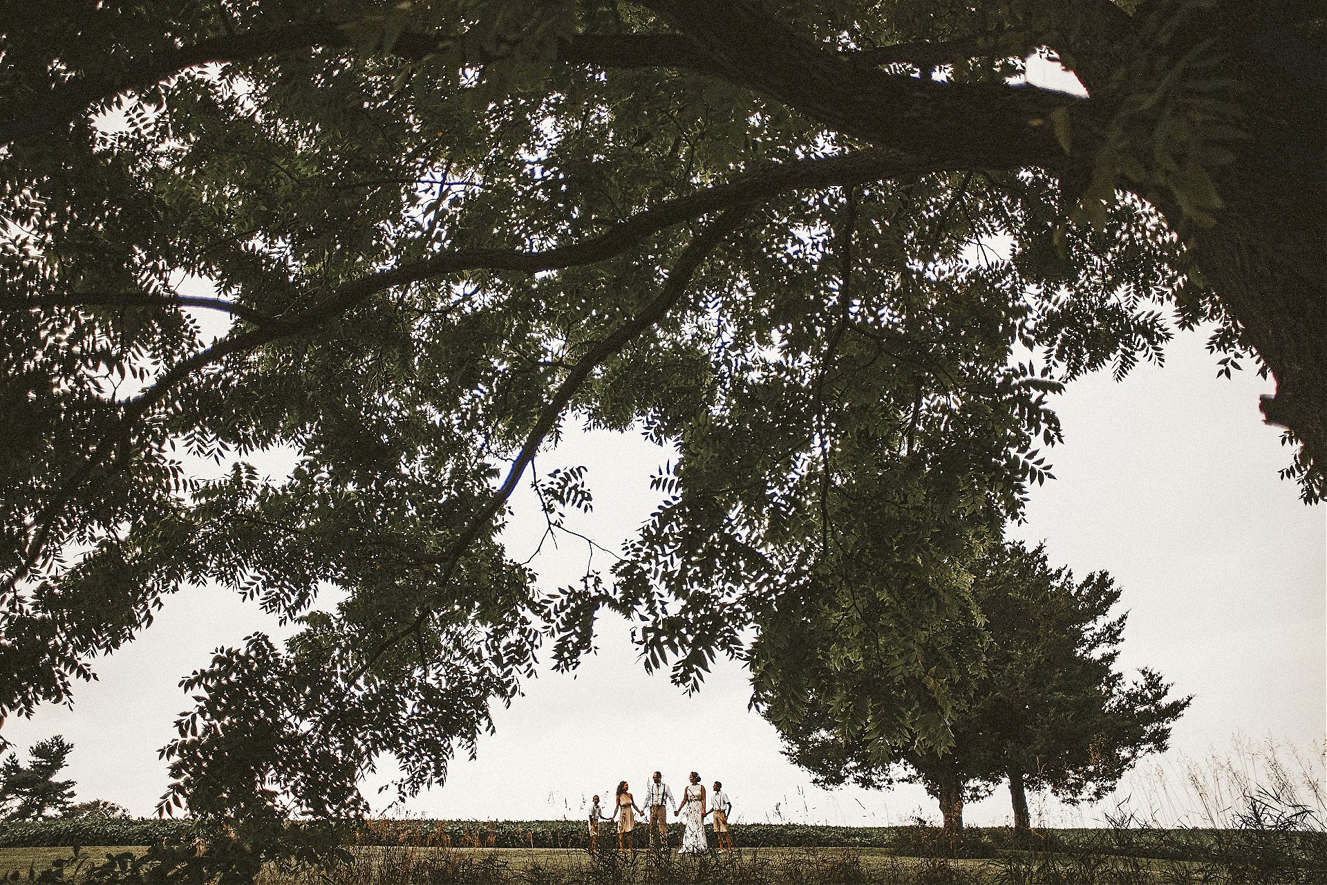 Farm Wedding0079 Twisted Oaks Studio