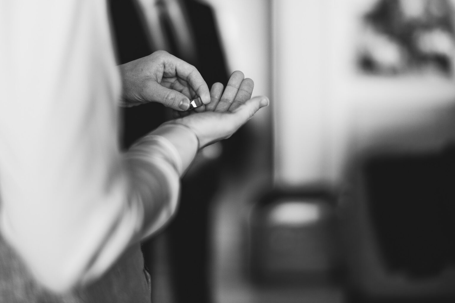 Stories - Twisted Oaks Studio